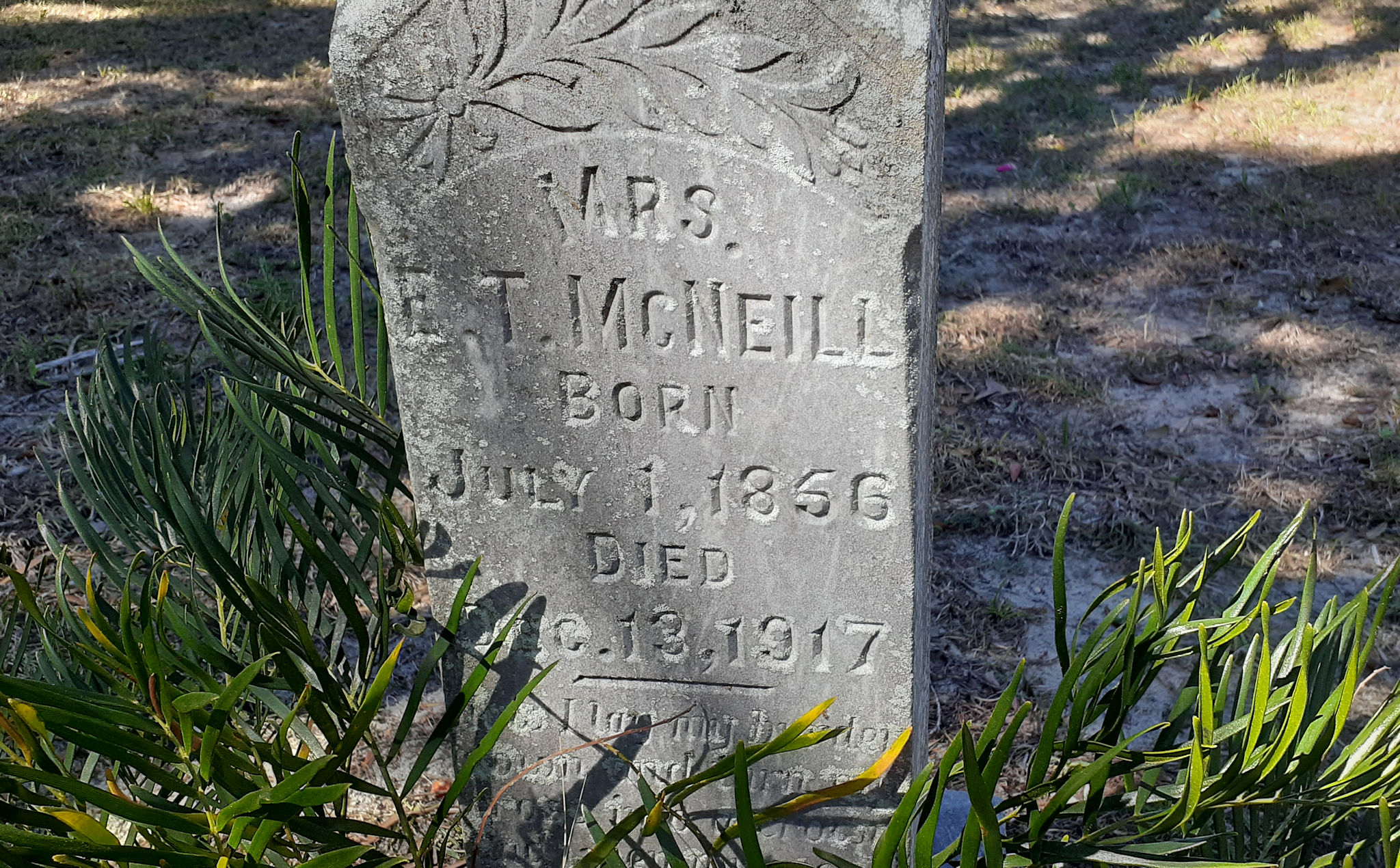 Cemetery Photos | East Elfers Cemetery